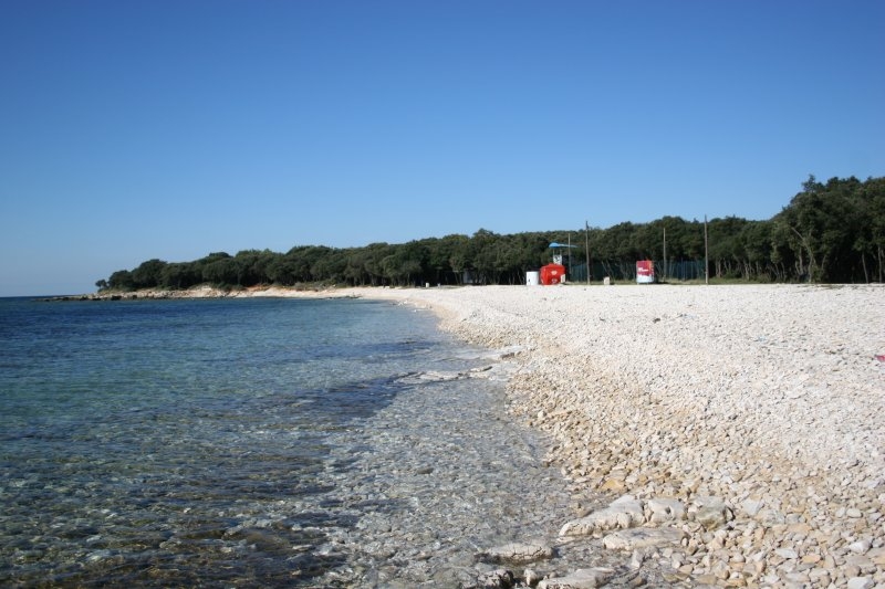 APARTMAJI RONA BARBARIGA